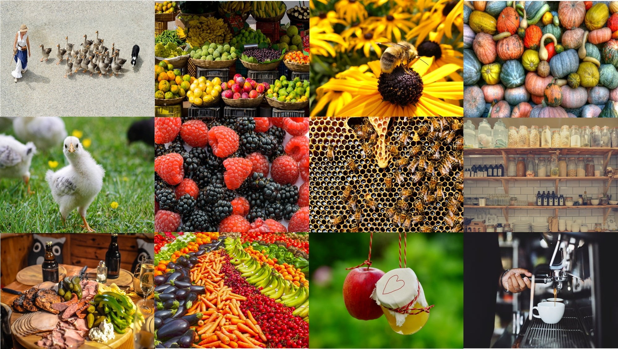 Organic Food – Organics and Your Health